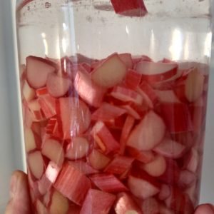 About the books – The Food Library